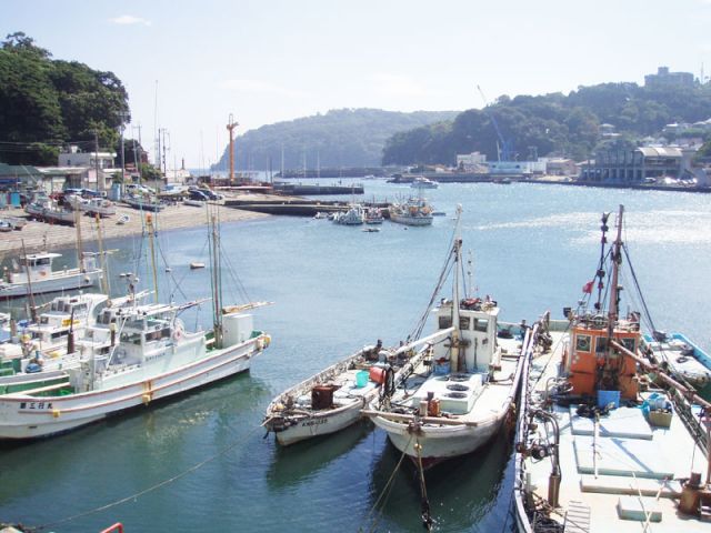 真鶴港 海の釣り場情報